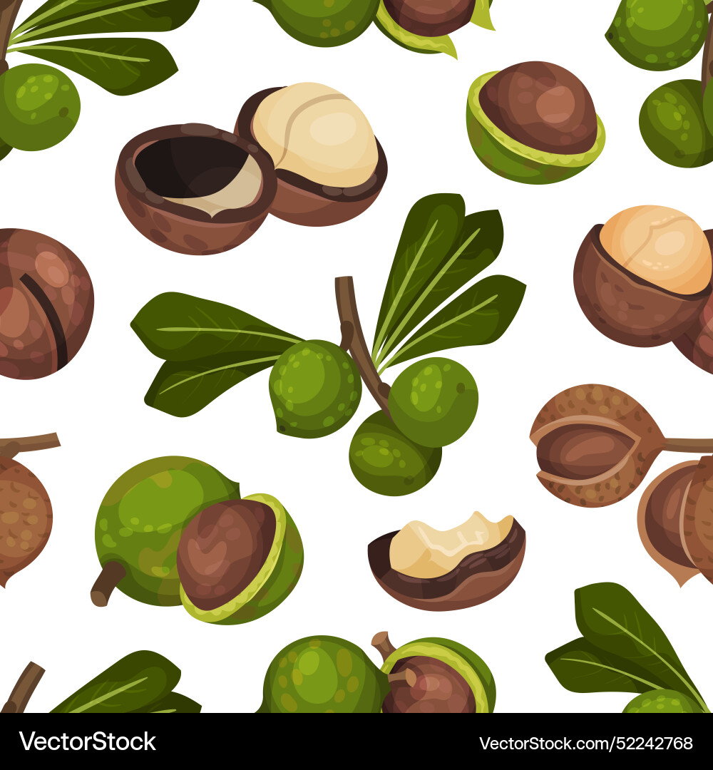 Macadamia nut seamless pattern with kernel Vector Image