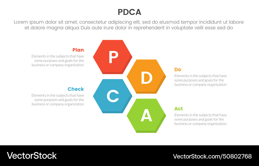 Pdca management business continual improvement Vector Image