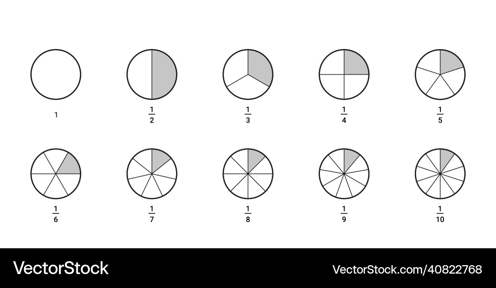 Whole circle divided into parts share math Vector Image