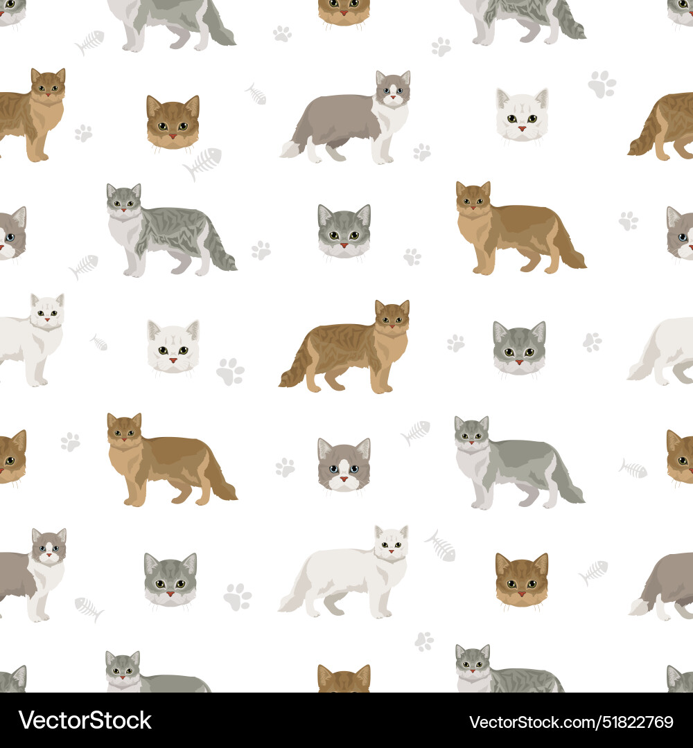 Tiffany cat tiffanie Royalty Free Vector Image