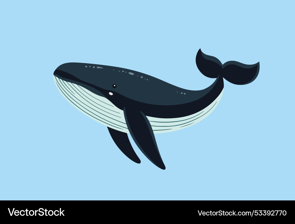 Whale flat marine isolated Royalty Free Vector Image