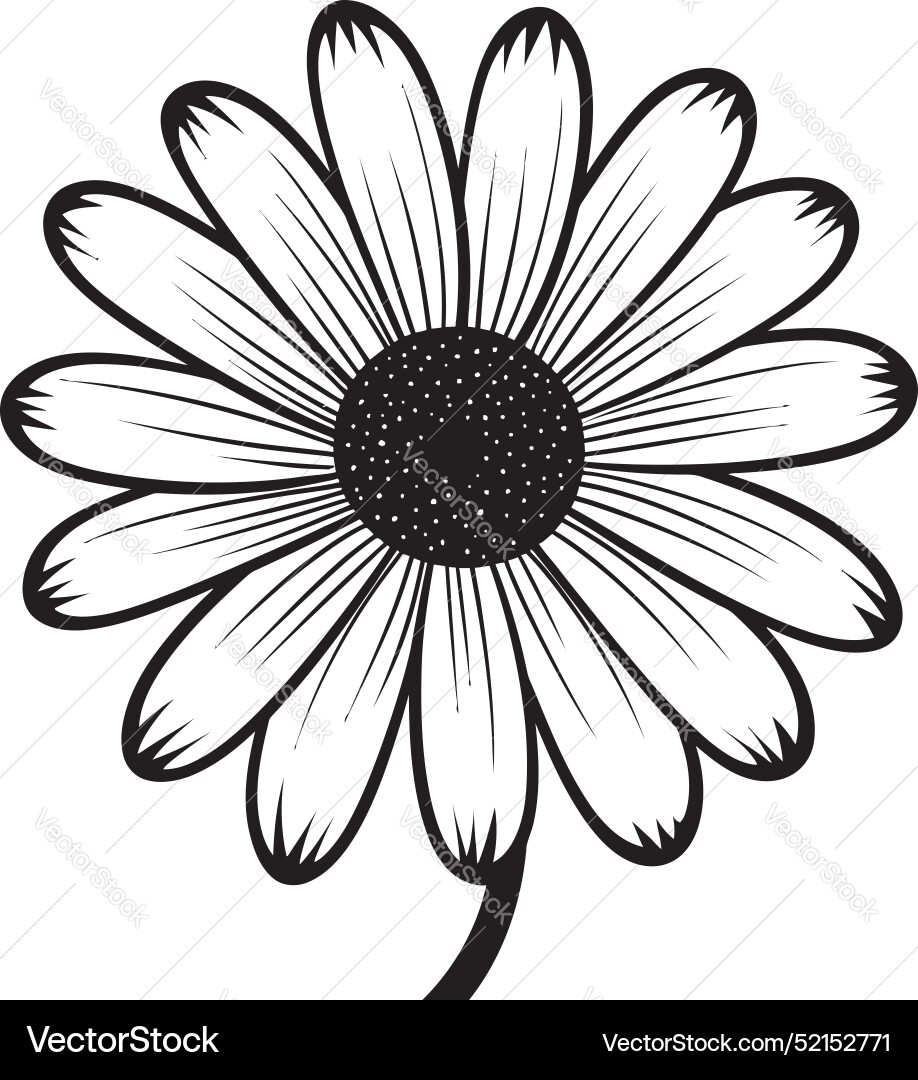 Bloom bonanza gerbera daisy emblem vibrant Vector Image