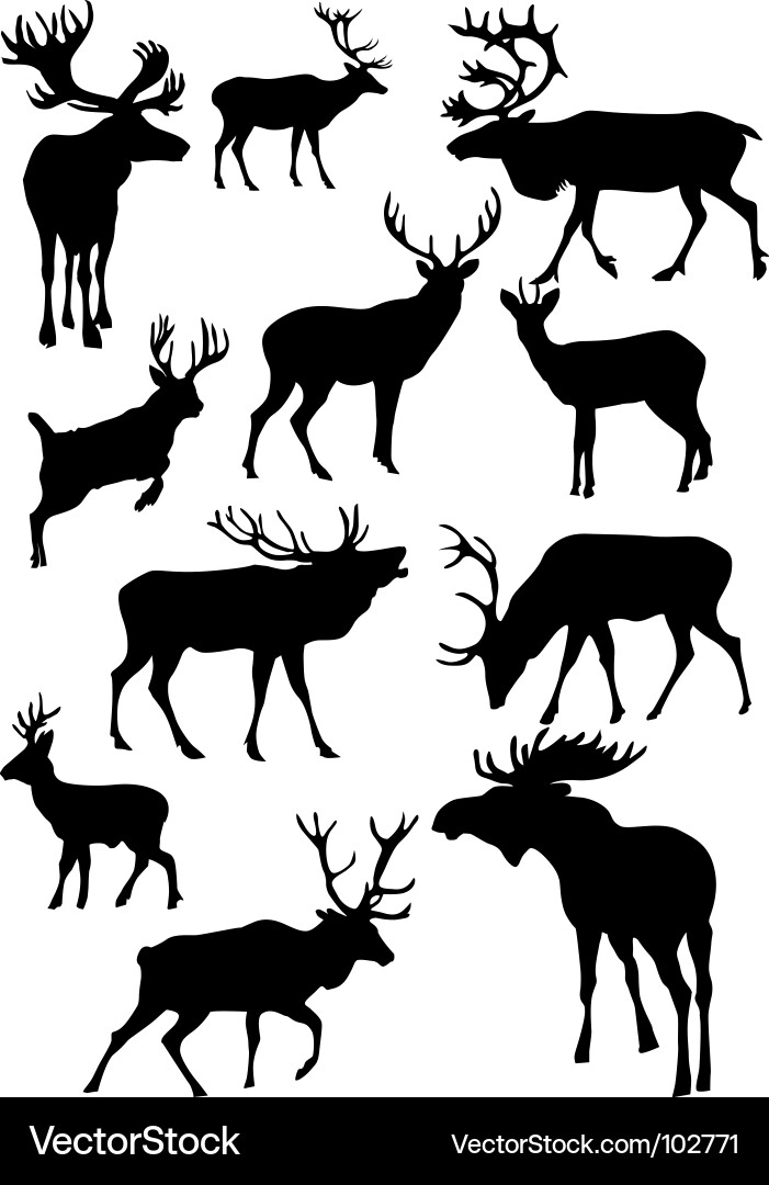Deer Royalty Free Vector Image - VectorStock