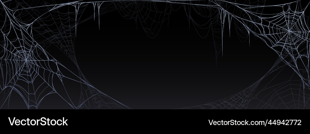 Realistic spider web isolated on black background Vector Image