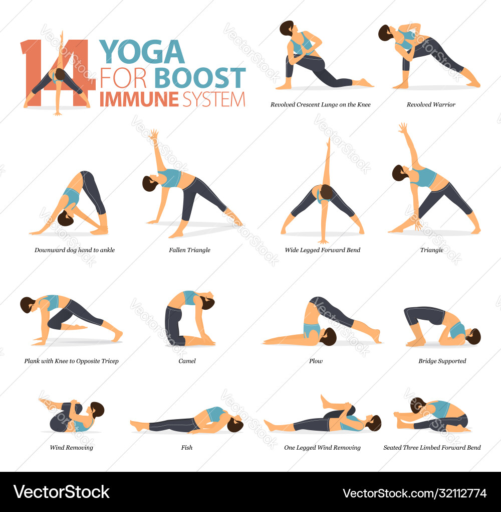 14 yoga poses for workout in boost immune system Vector Image