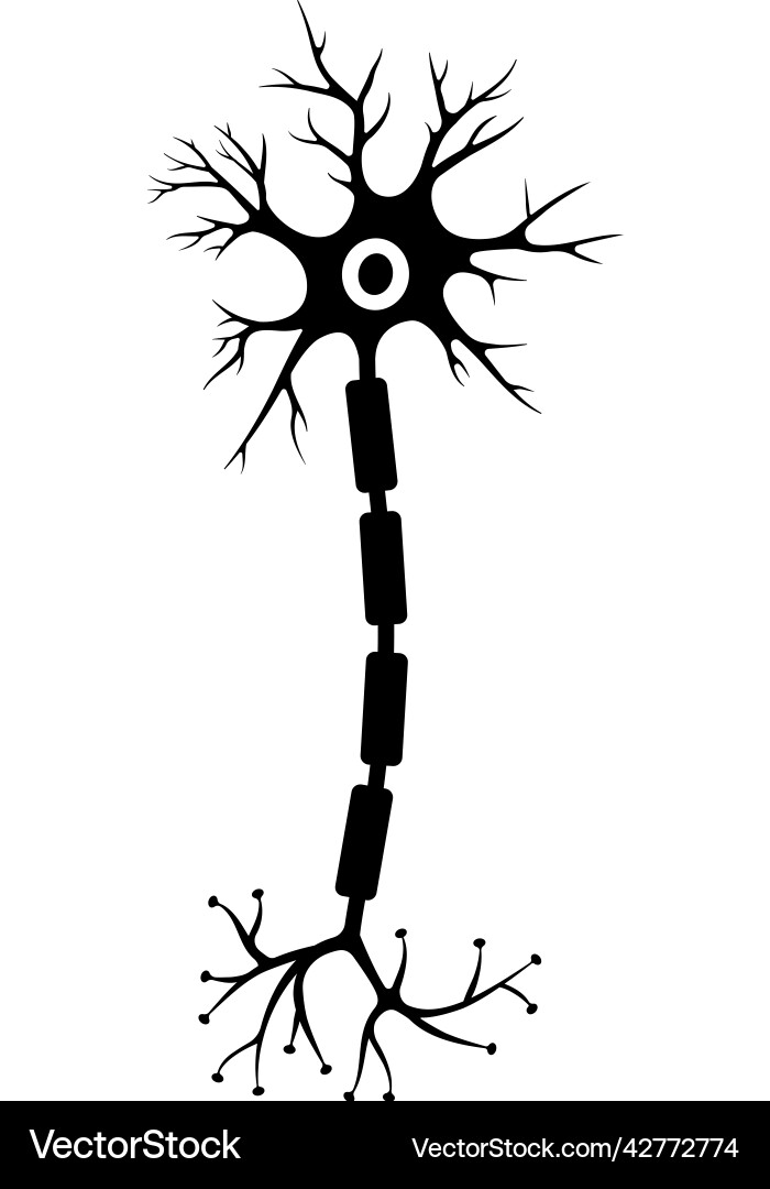 Brain neuron symbol human cell sign Royalty Free Vector