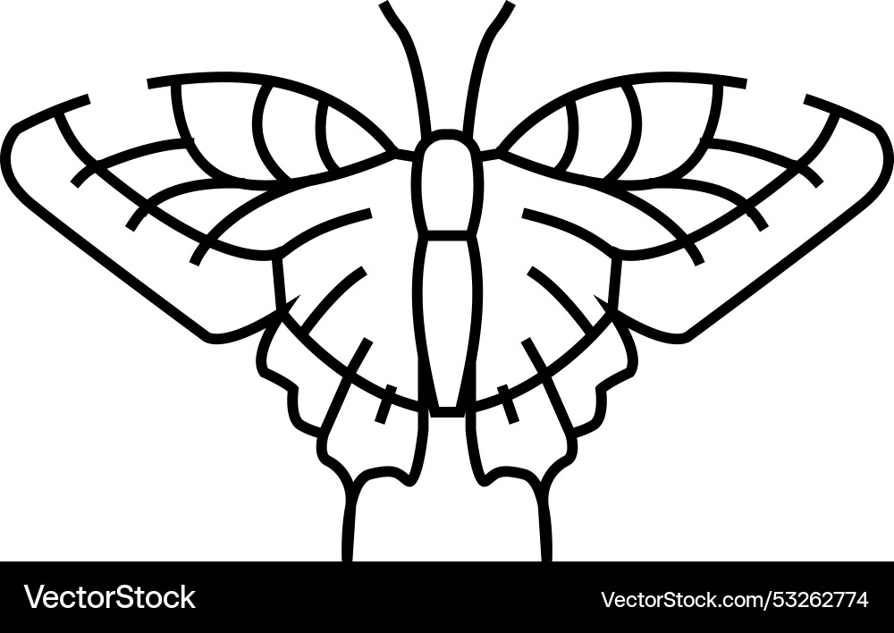 Eastern tiger swallowtail summer line icon Vector Image