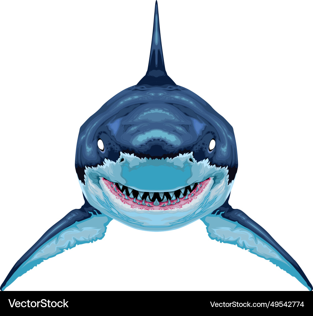 Shark isolated animal Royalty Free Vector Image