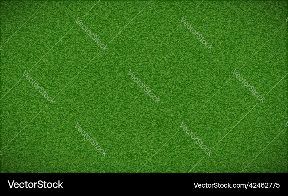 Green Grass Field Texture Royalty Free Vector Image