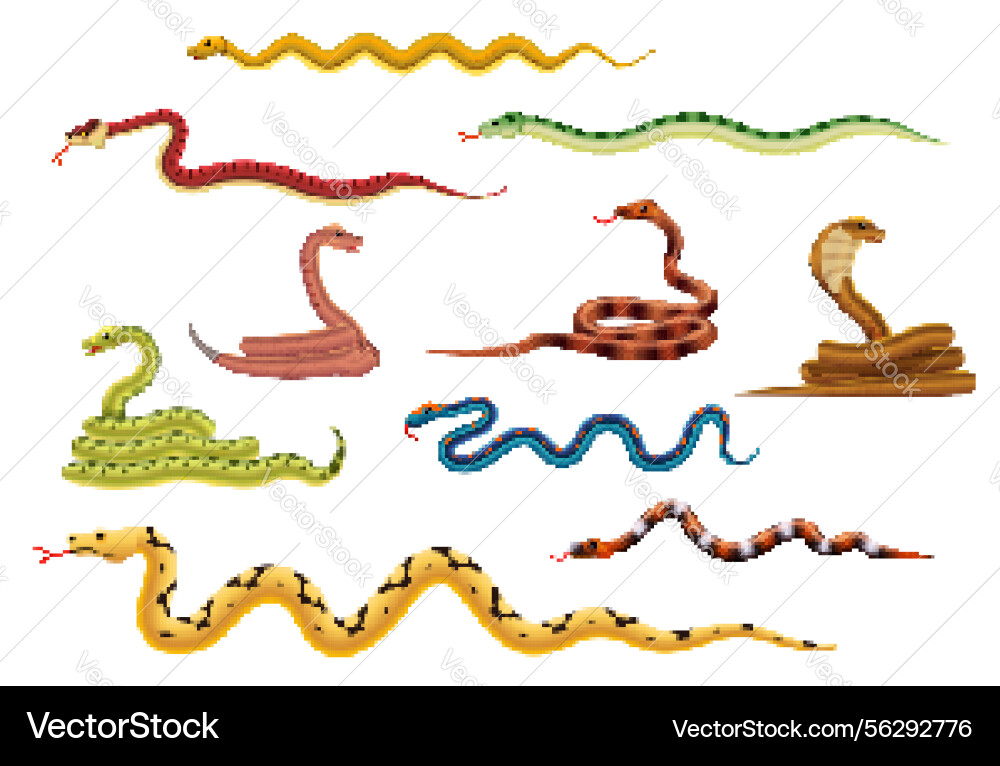 8bit arcade game pixel art snakes and reptiles Vector Image