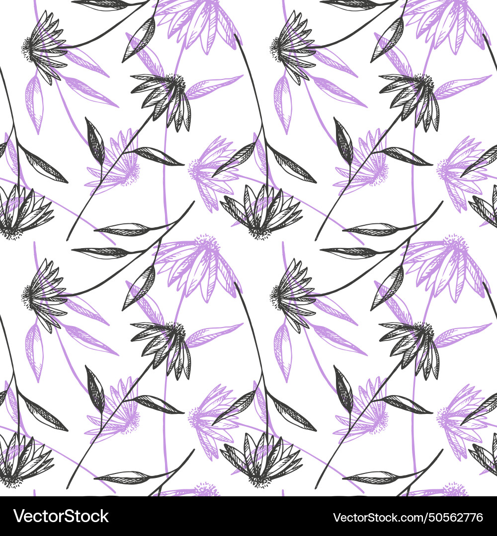 Echinacea flowers sketch in seamless pattern Vector Image