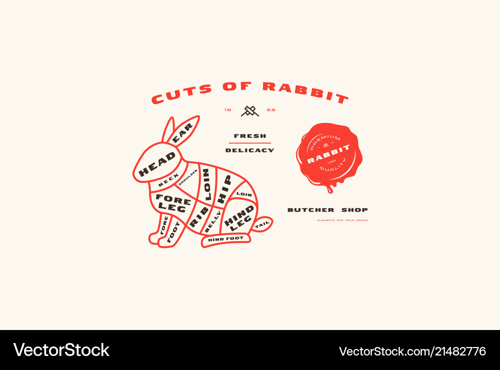 Rabbit Cut Diagram - Thin Line Style Royalty Free Vector