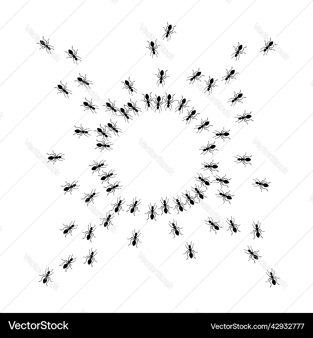 Ants trail circle frame line of working Royalty Free Vector