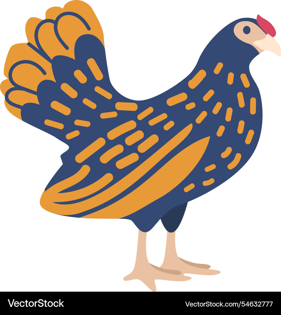 Domestic egg-laying hen Royalty Free Vector Image