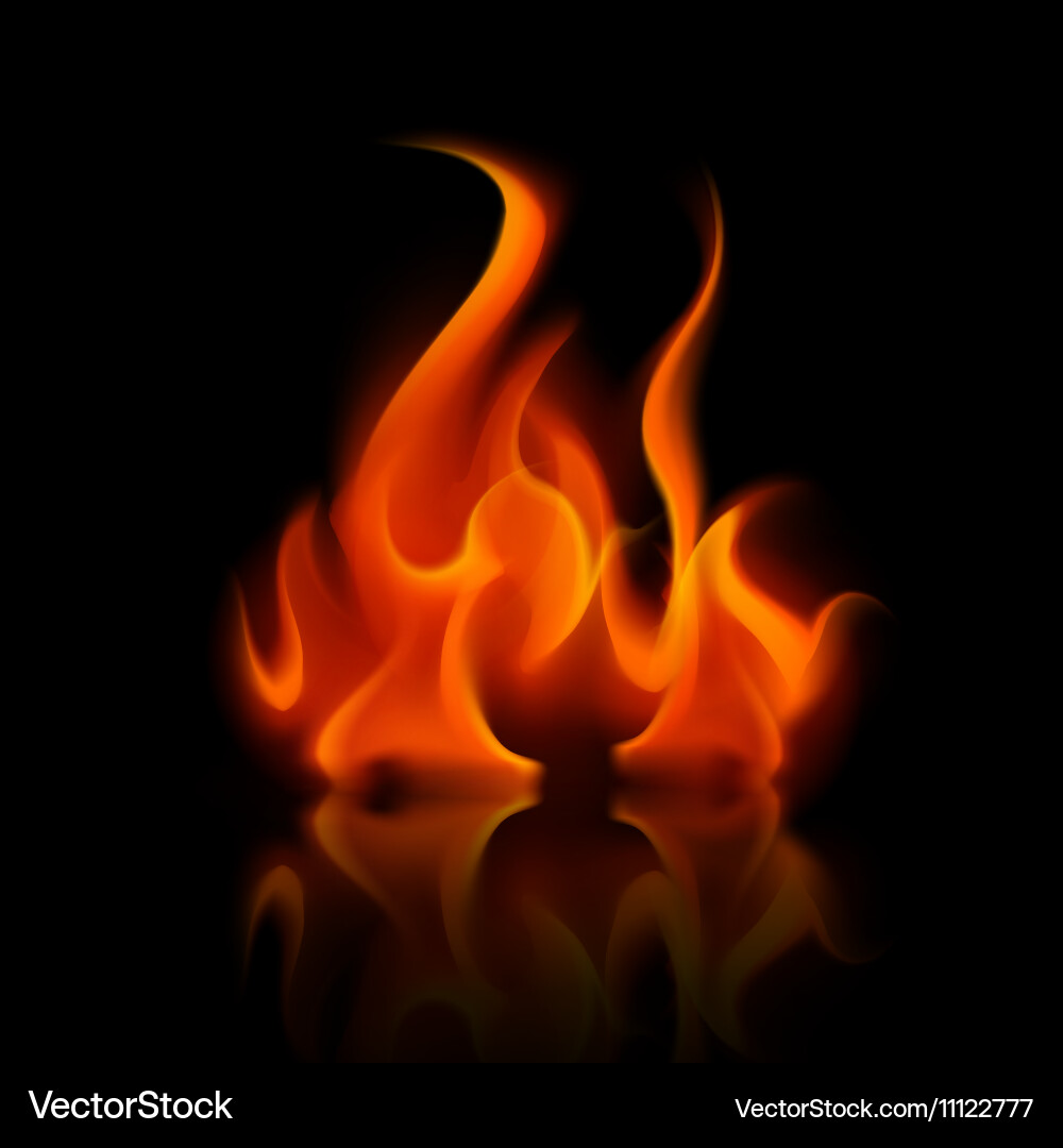 Red fire flame bonfire isolated on background Vector Image