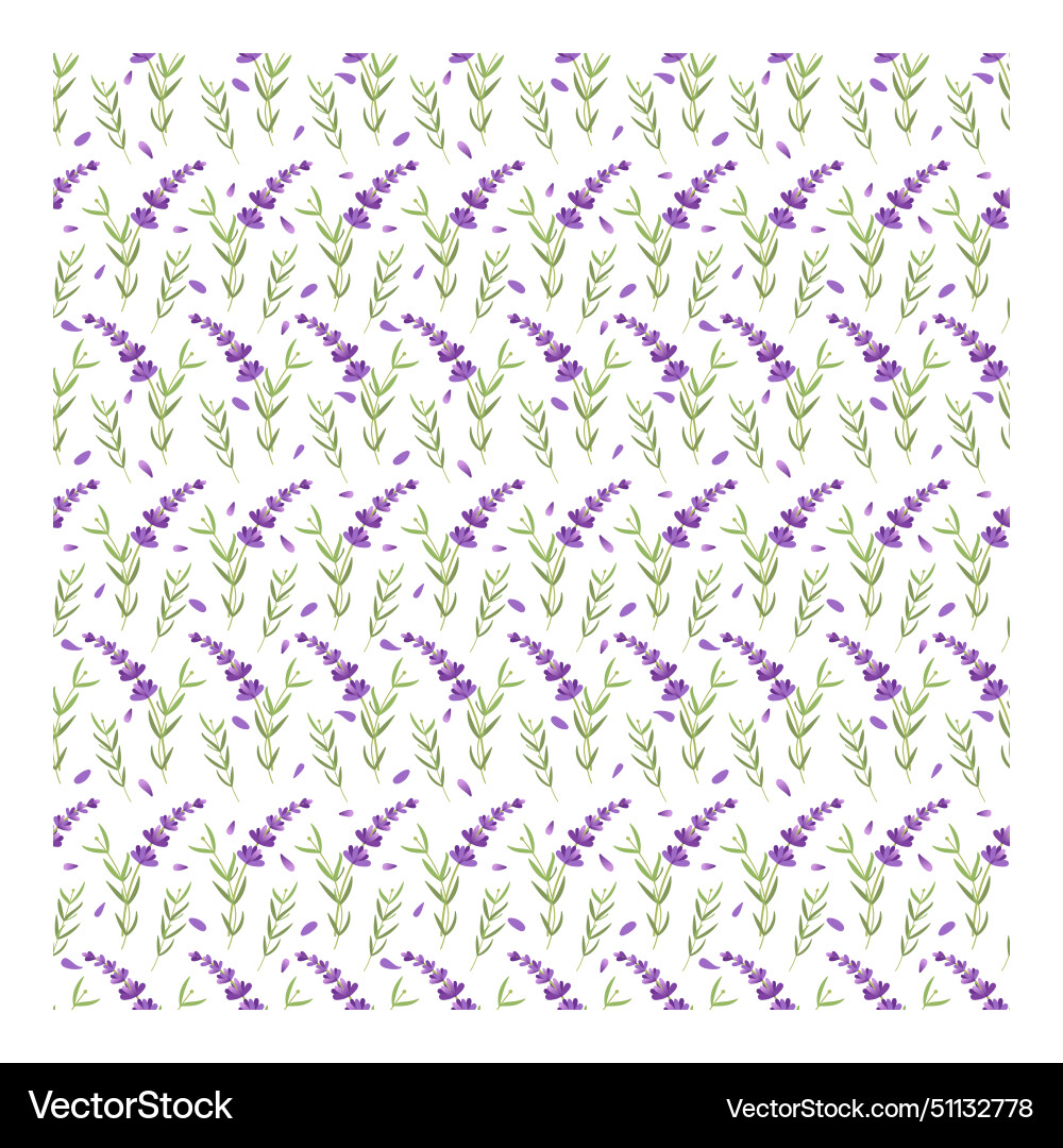 Hand drawn lavender sprig pattern herb Royalty Free Vector