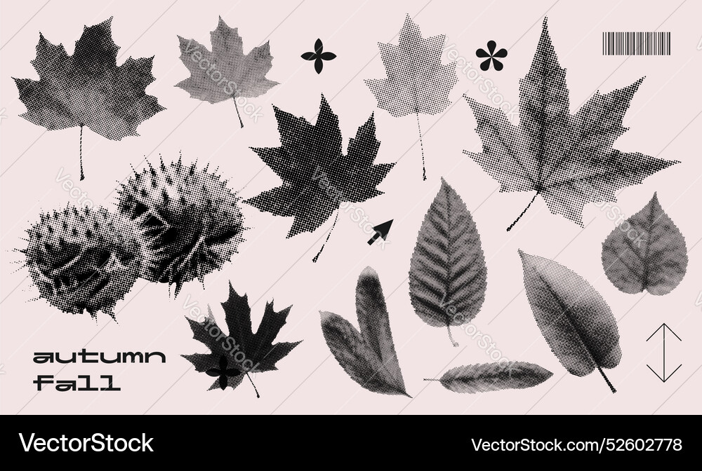 Leaves maple leaf chestnut isolated stippling Vector Image