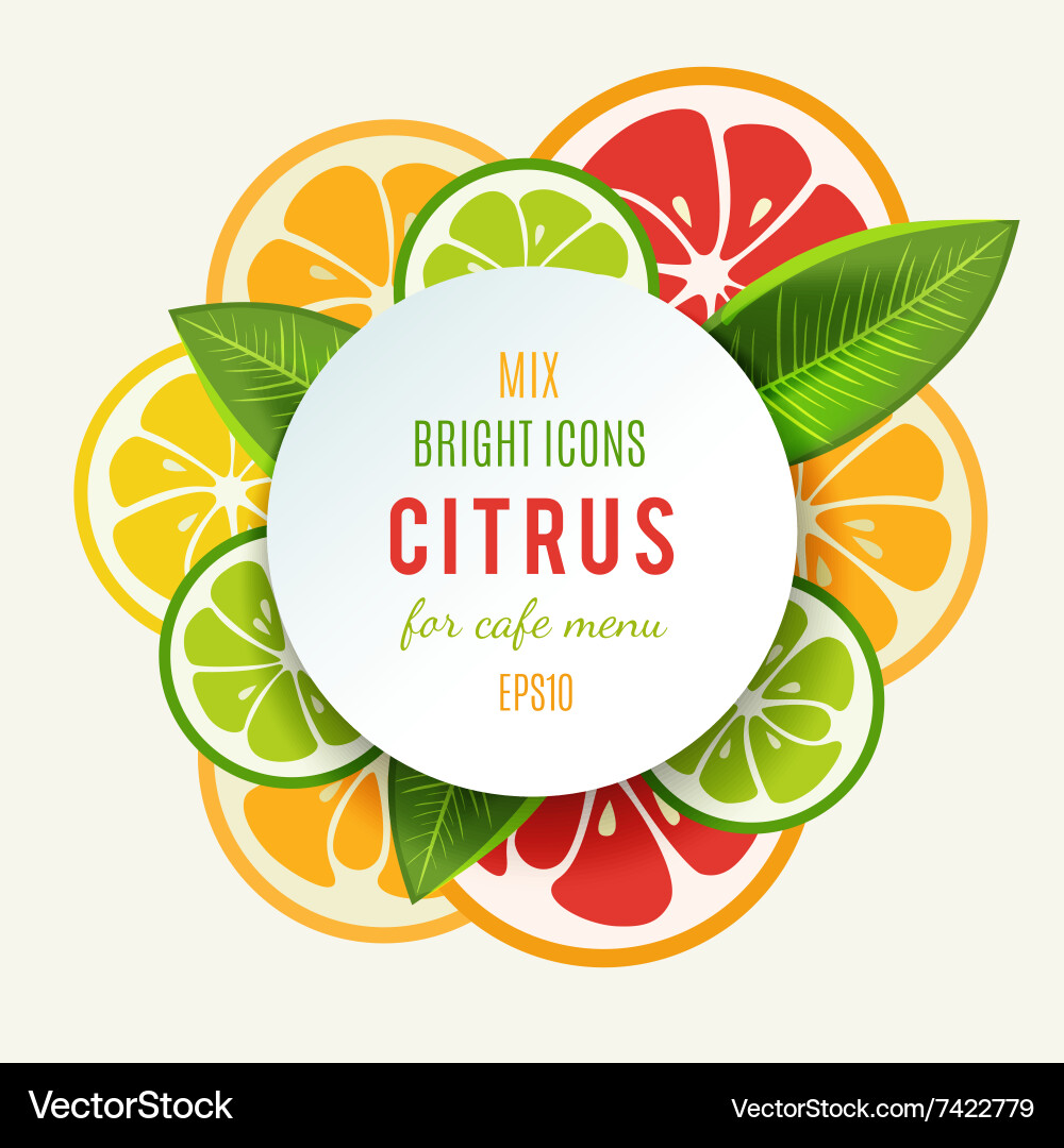 Banner with stylized citrus fruit and splashes Vector Image