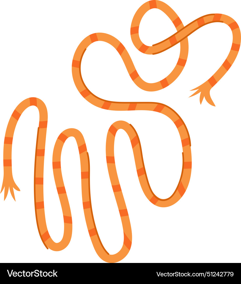 Knot rope cartoon Royalty Free Vector Image - VectorStock