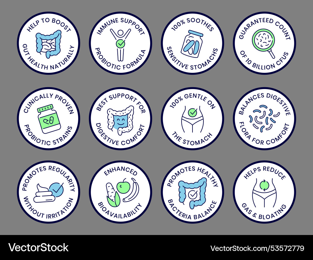 Probiotic sticker labels highlighting gut health Vector Image