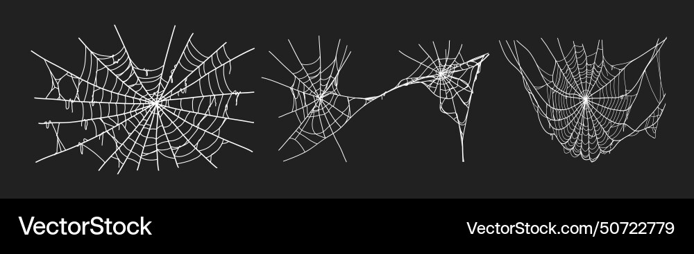 Spooky halloween old spider web with various sizes