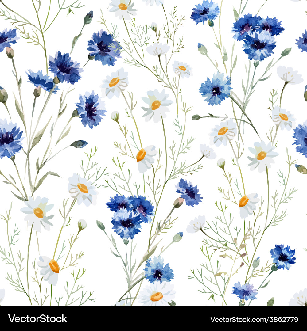 Wildflowers Royalty Free Vector Image - VectorStock