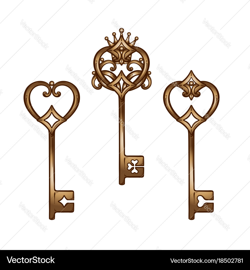 Antique Bronze Heart Keys Set Royalty Free Vector Image