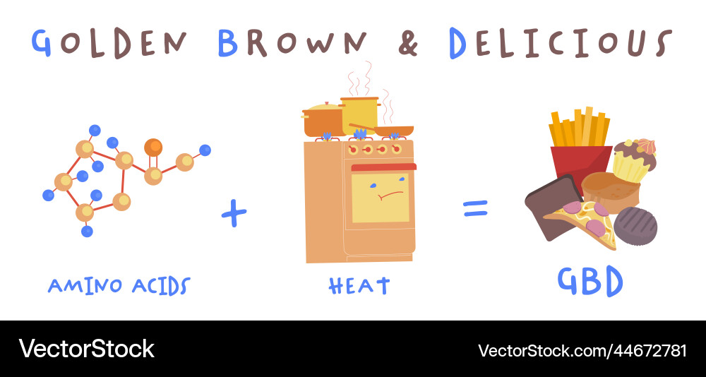 Maillard reaction editable Royalty Free Vector Image