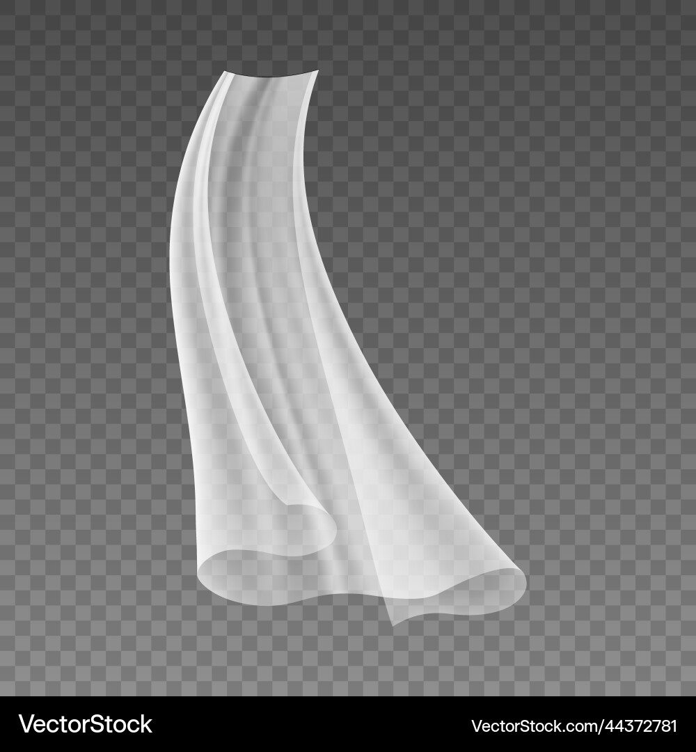 Sheer voile curtains for window Royalty Free Vector Image