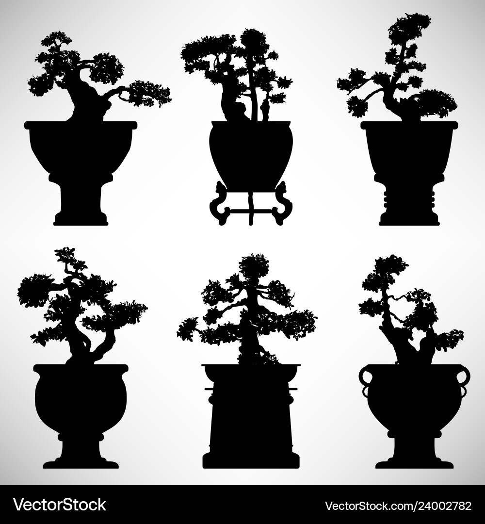 Bonsai tree plant flower pot a set Royalty Free Vector Image