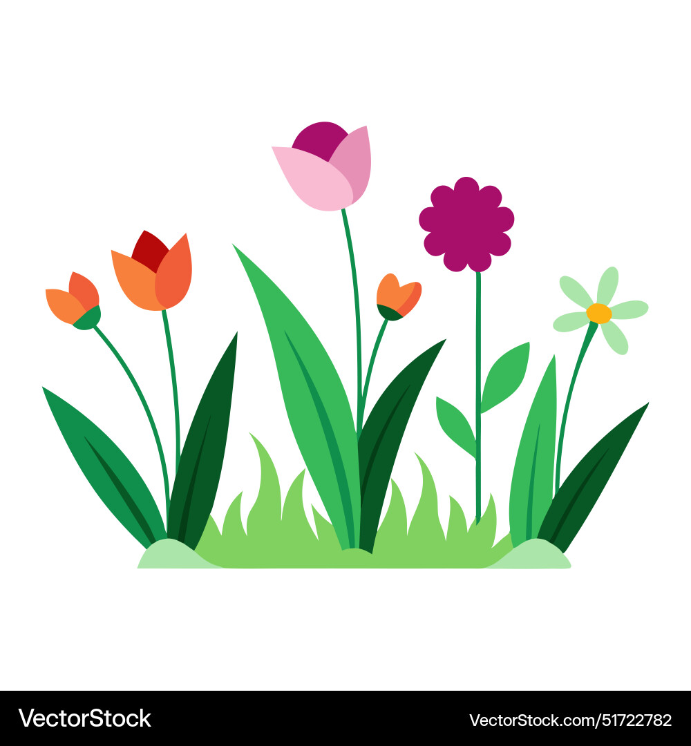 Flower and grass set minimal flat on white Vector Image