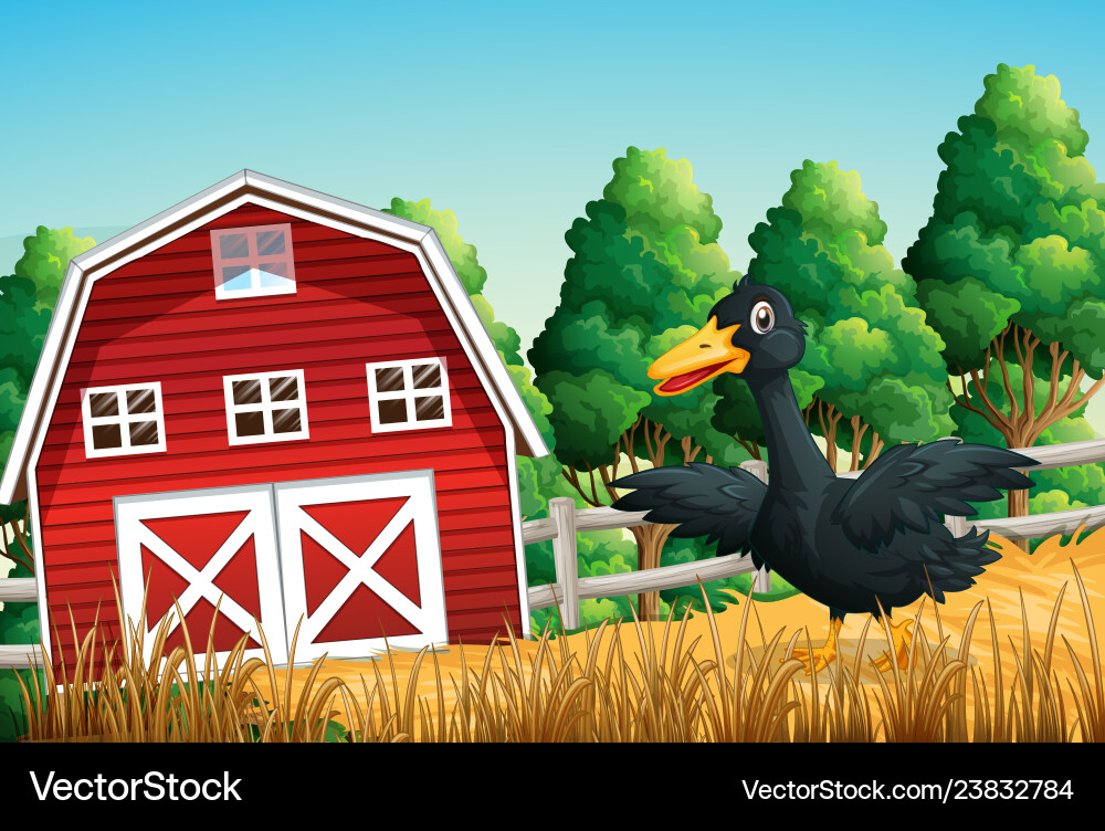 A duck at farm scene Royalty Free Vector Image
