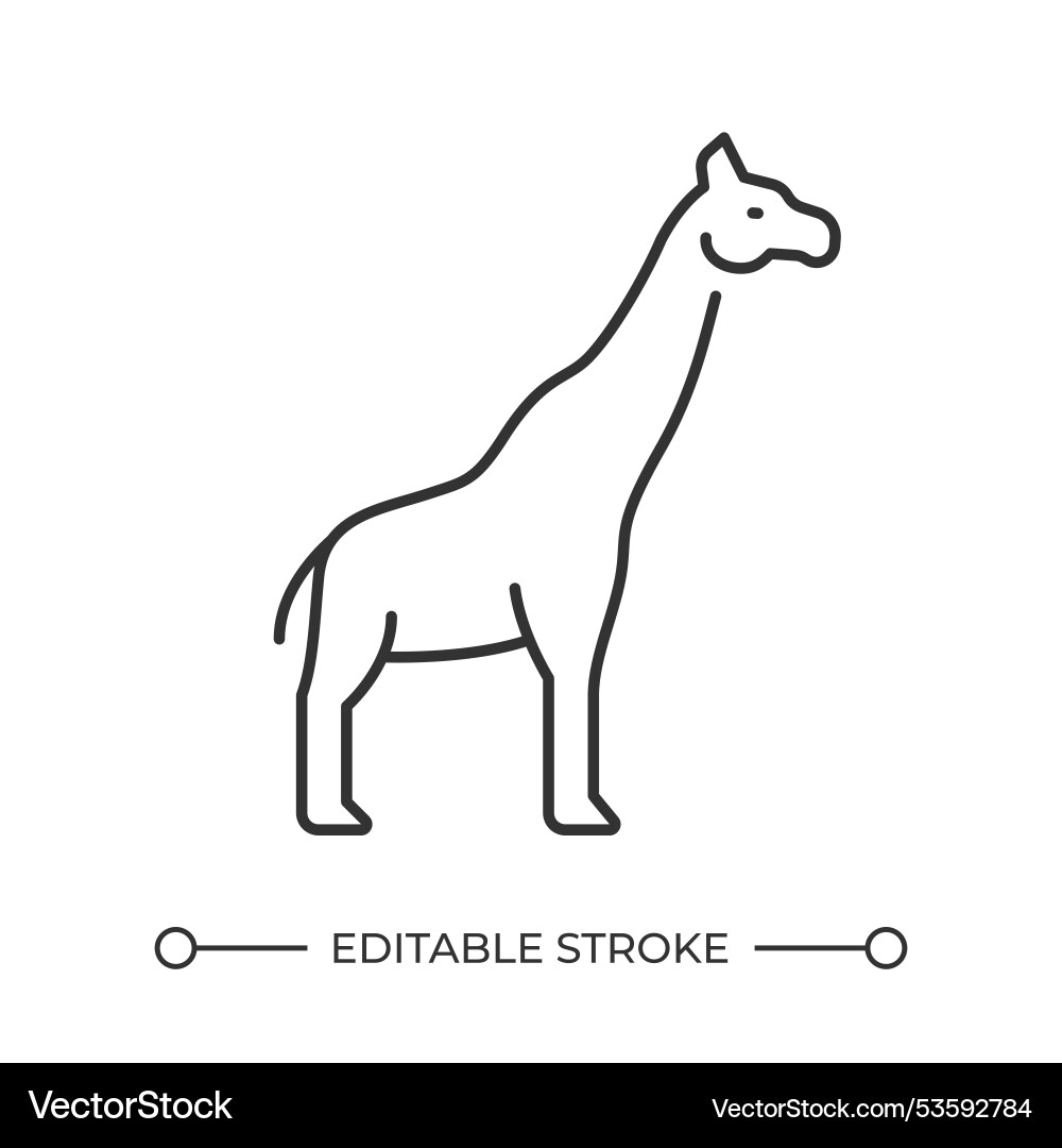 Giraffe linear icon Royalty Free Vector Image - VectorStock