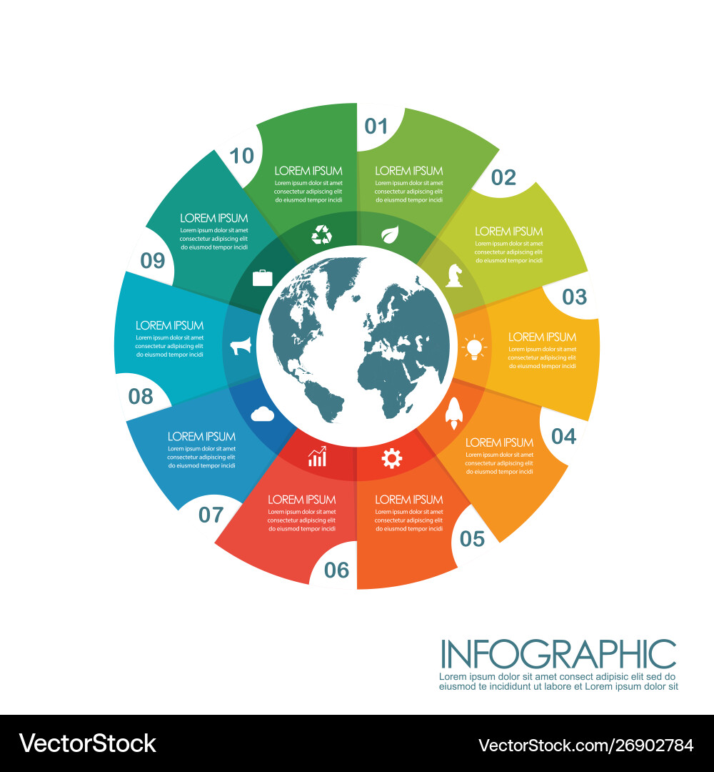 Infographic chart template Royalty Free Vector Image