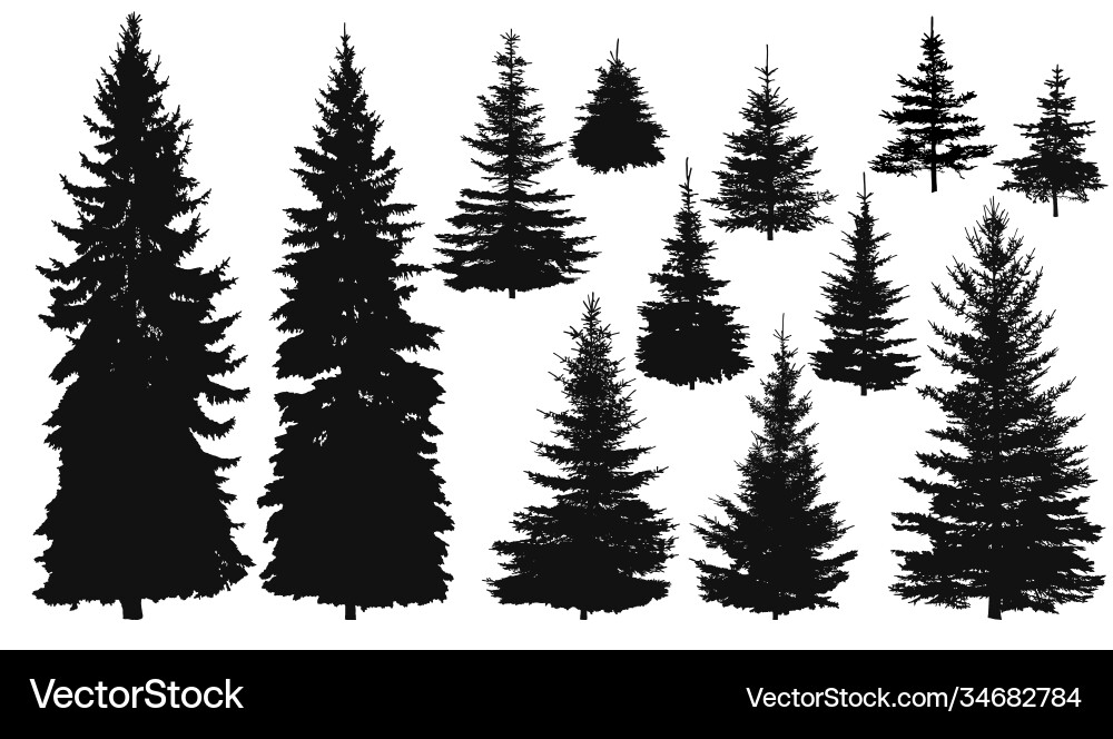 Set pine trees Royalty Free Vector Image - VectorStock