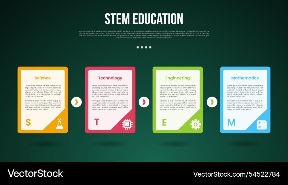 Stem education infographic concept for slide Vector Image