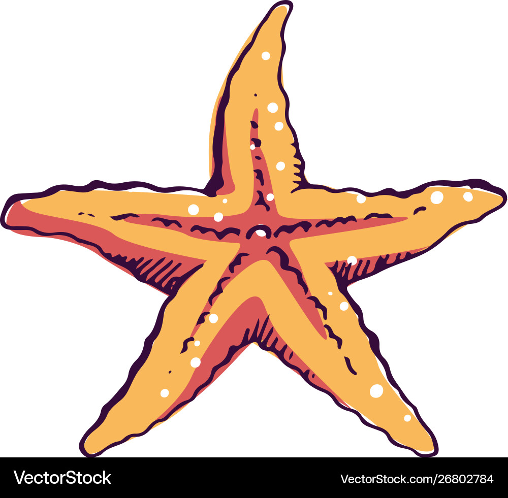 Star Fish Clipart Vector Images (over 860)
