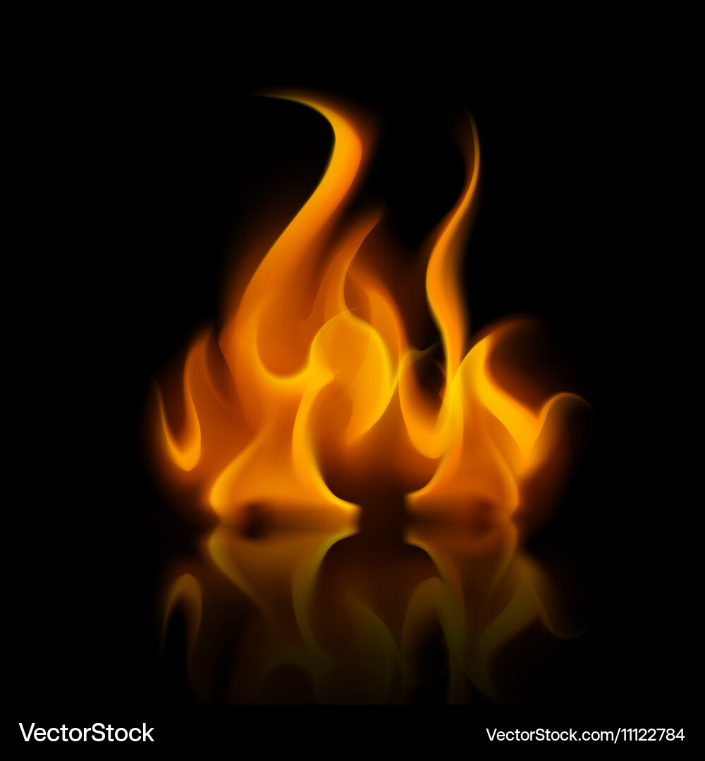 Yellow orange fire flame bonfire on background Vector Image