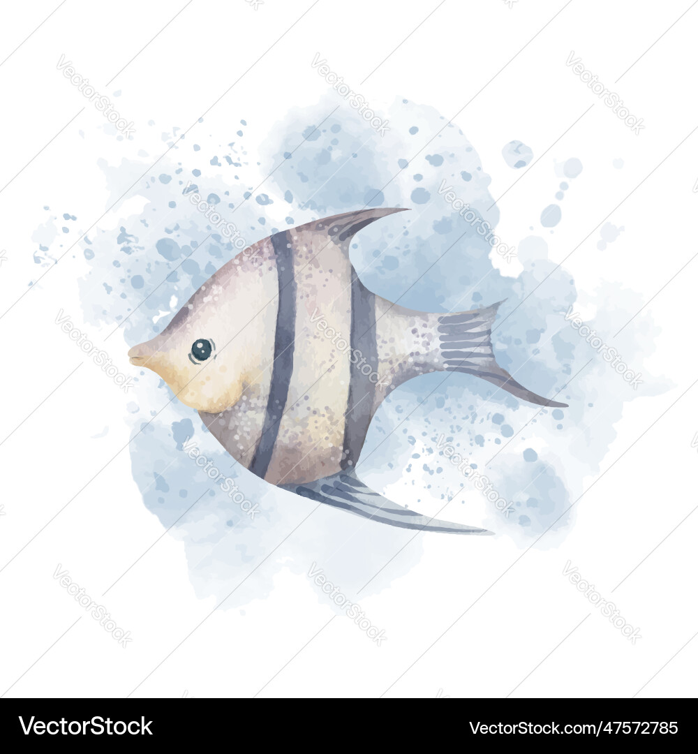 Angelfish with watercolor splash hand drawn Vector Image