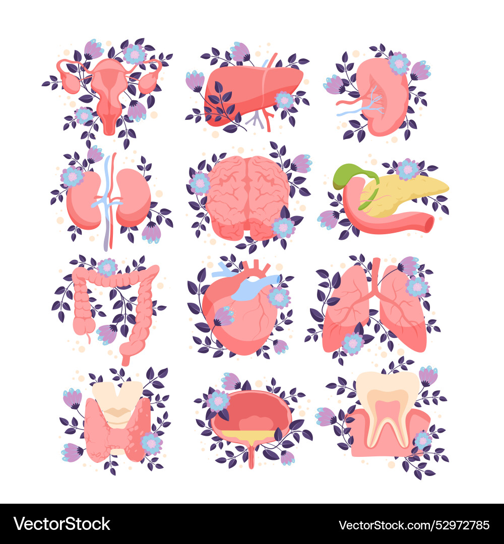 Human anatomy with blooming flowers set structure Vector Image