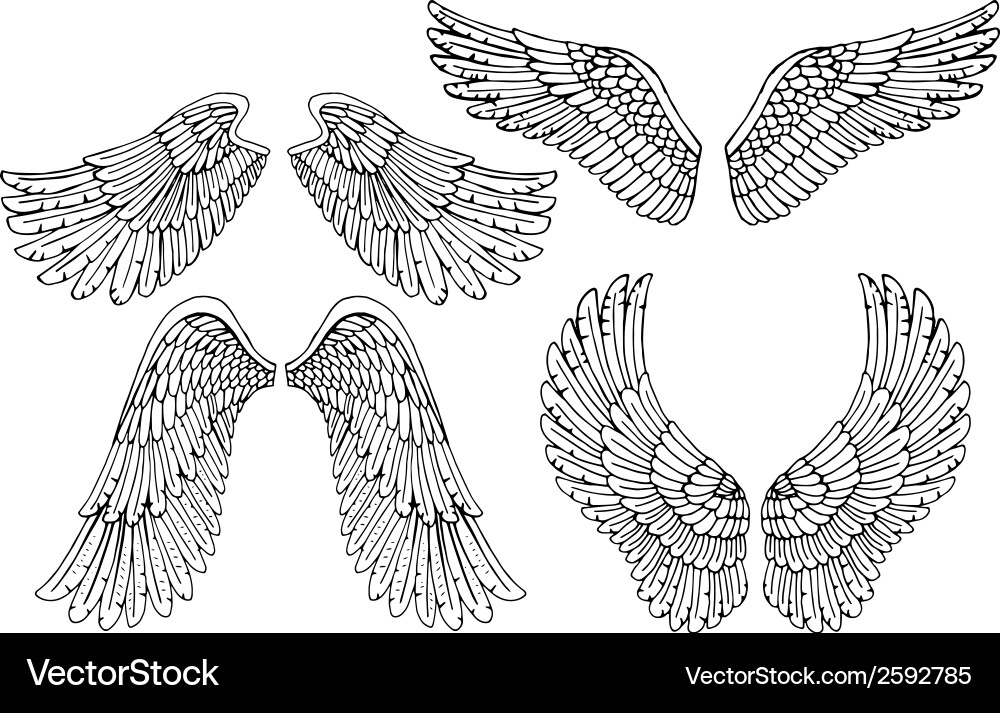 Set of four different angel wings Royalty Free Vector Image