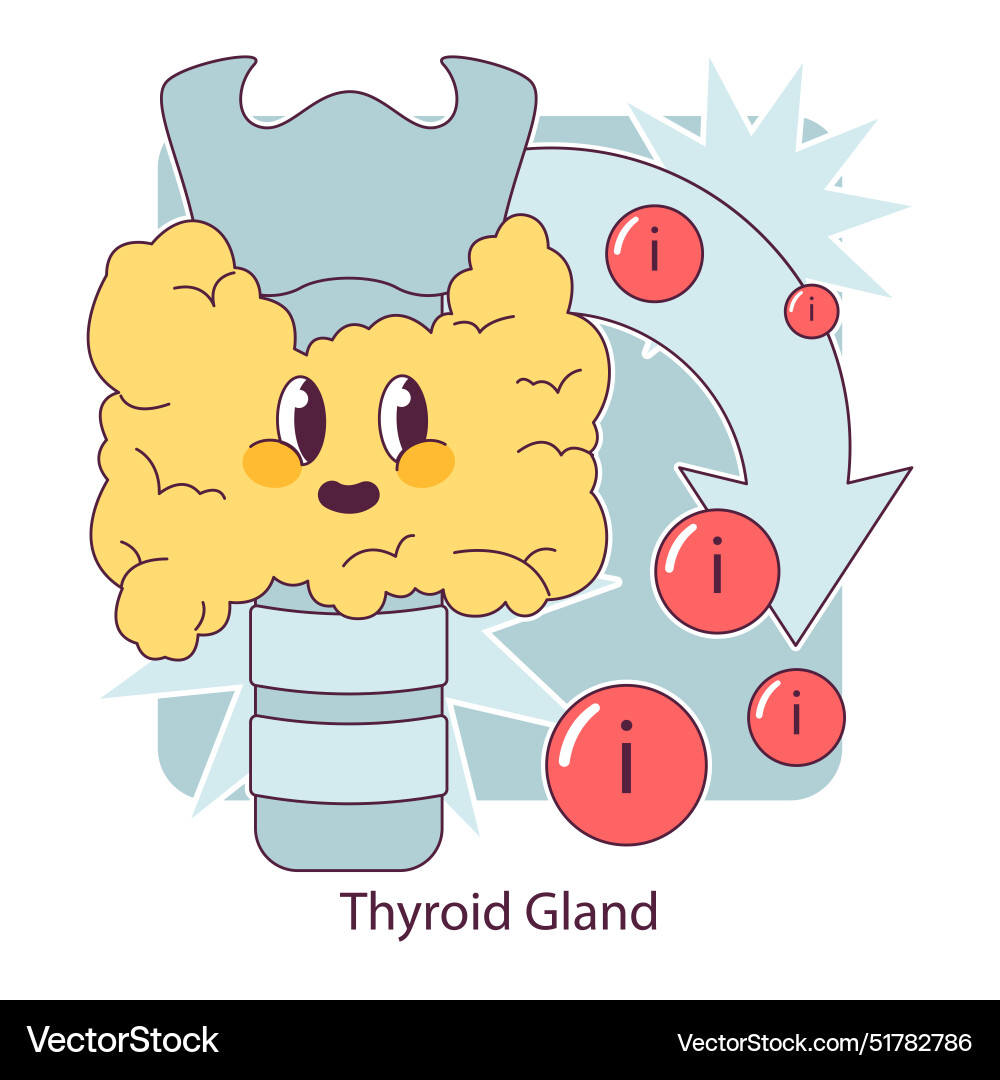 Endocrine system organ and disease human gland Vector Image