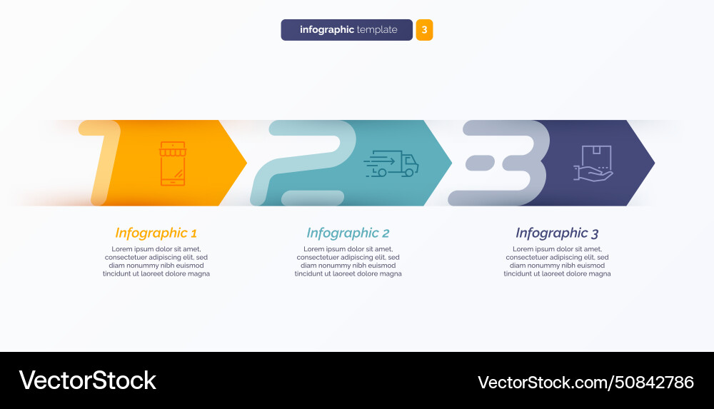 Infographic template composed of 3 numbered Vector Image