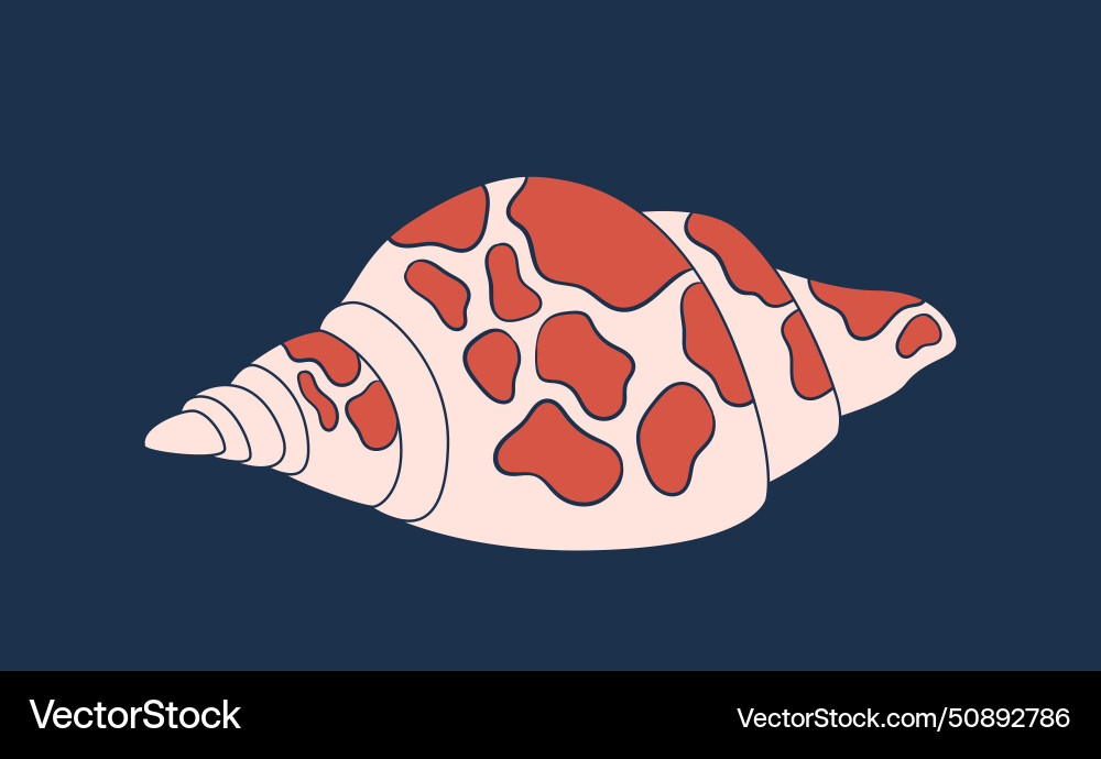 Seashell doodle concept Royalty Free Vector Image