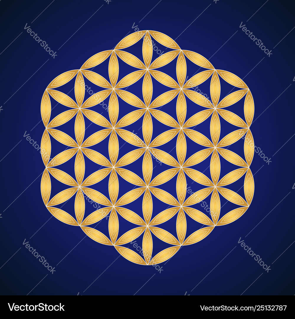 Mandala sacred geometry Royalty Free Vector Image