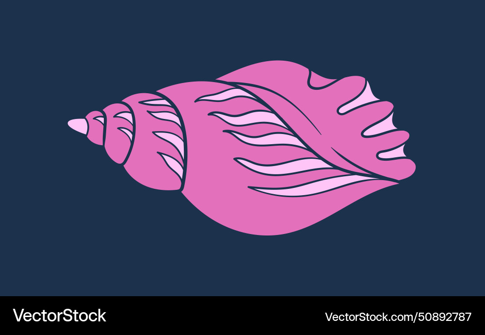 Seashell doodle concept Royalty Free Vector Image