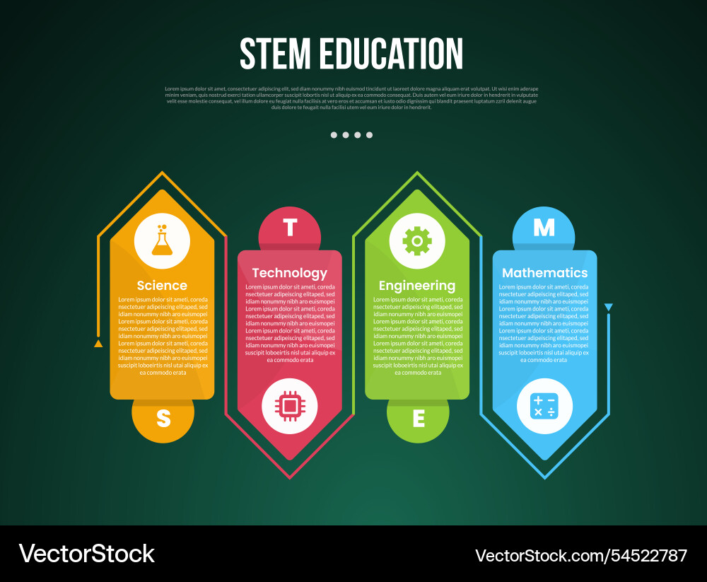 Stem education infographic concept for slide Vector Image