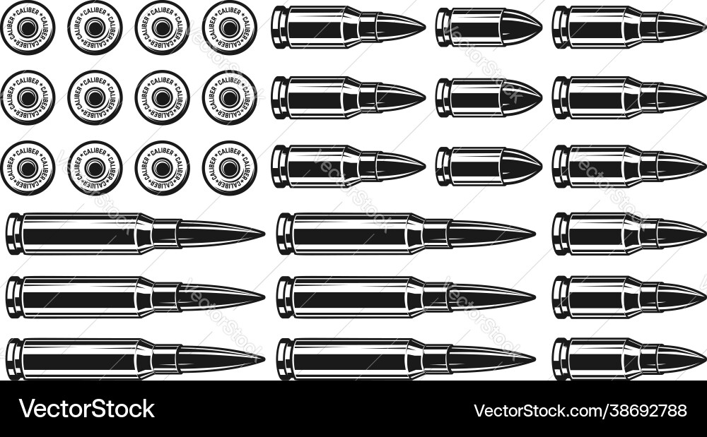 American national flag from bullets design Vector Image