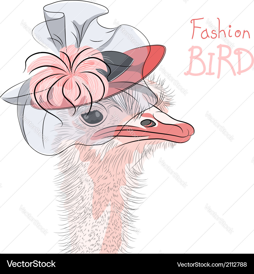 Fashion ostrich bird Royalty Free Vector Image