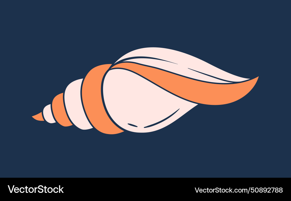 Seashell doodle concept Royalty Free Vector Image
